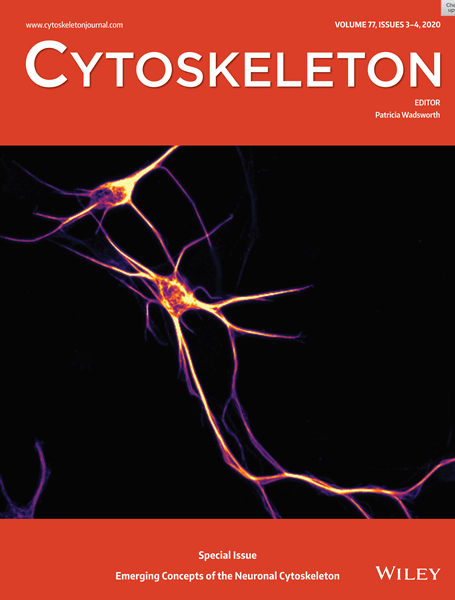 Feature Your Article with a Cover Image | Wiley